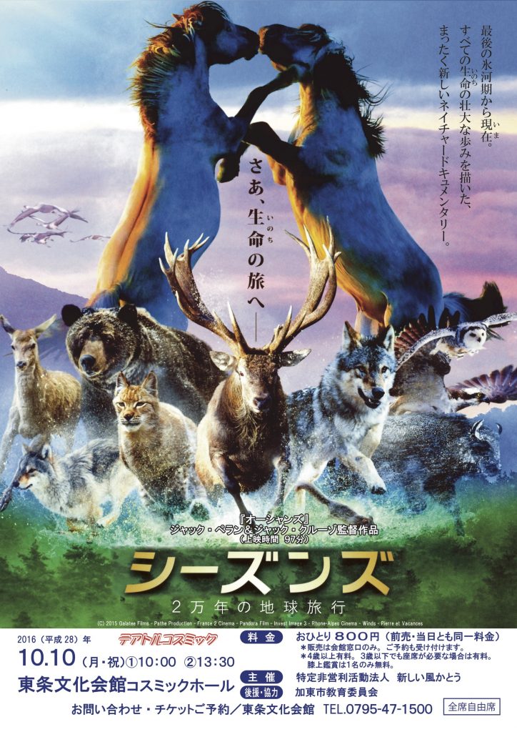 公演・展示会チラシ一覧 - Cosmic Hall